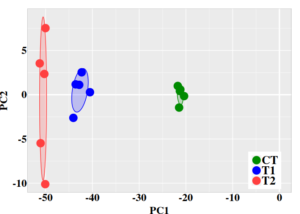 Epigenomics – Genomic Mathematics